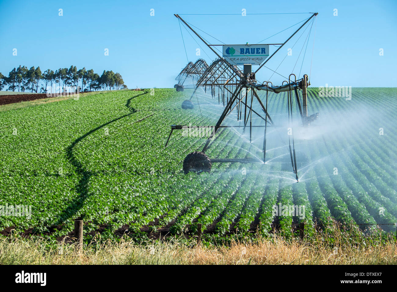 Irrigated crop hi-res stock photography and images - Alamy