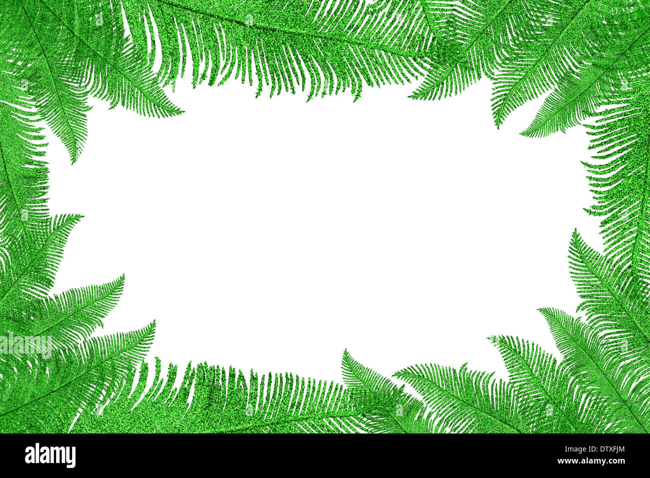 Frame made of leaves Stock Photo - Alamy