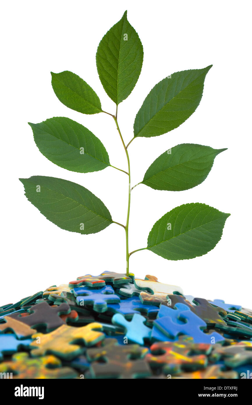 Puzzle and plant Stock Photo - Alamy