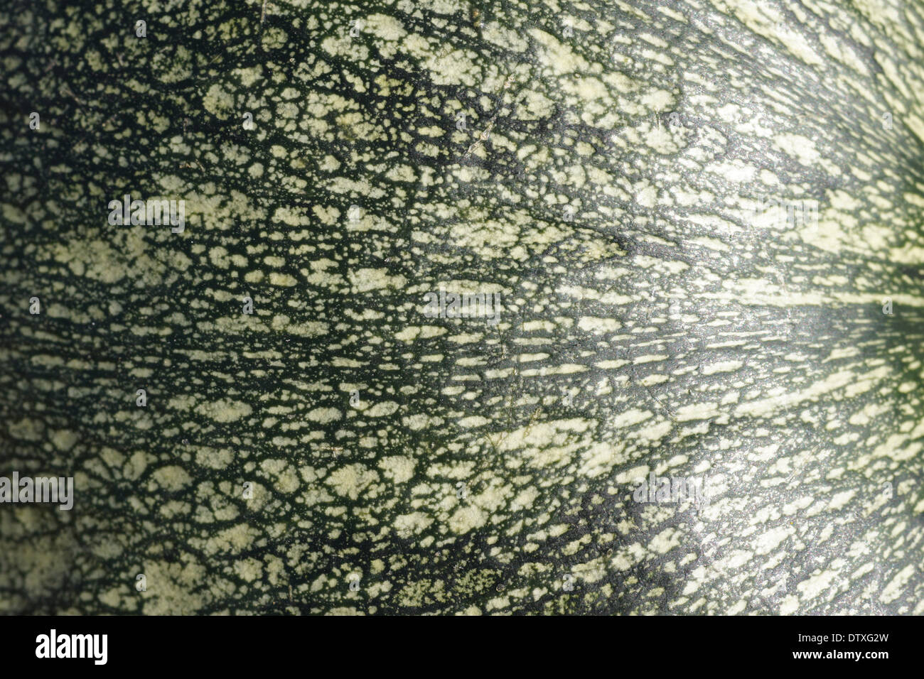 Skin colour hi-res stock photography and images - Alamy