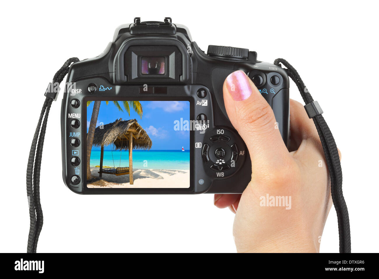 Caribbean beach paradise Cut Out Stock Images & Pictures - Alamy