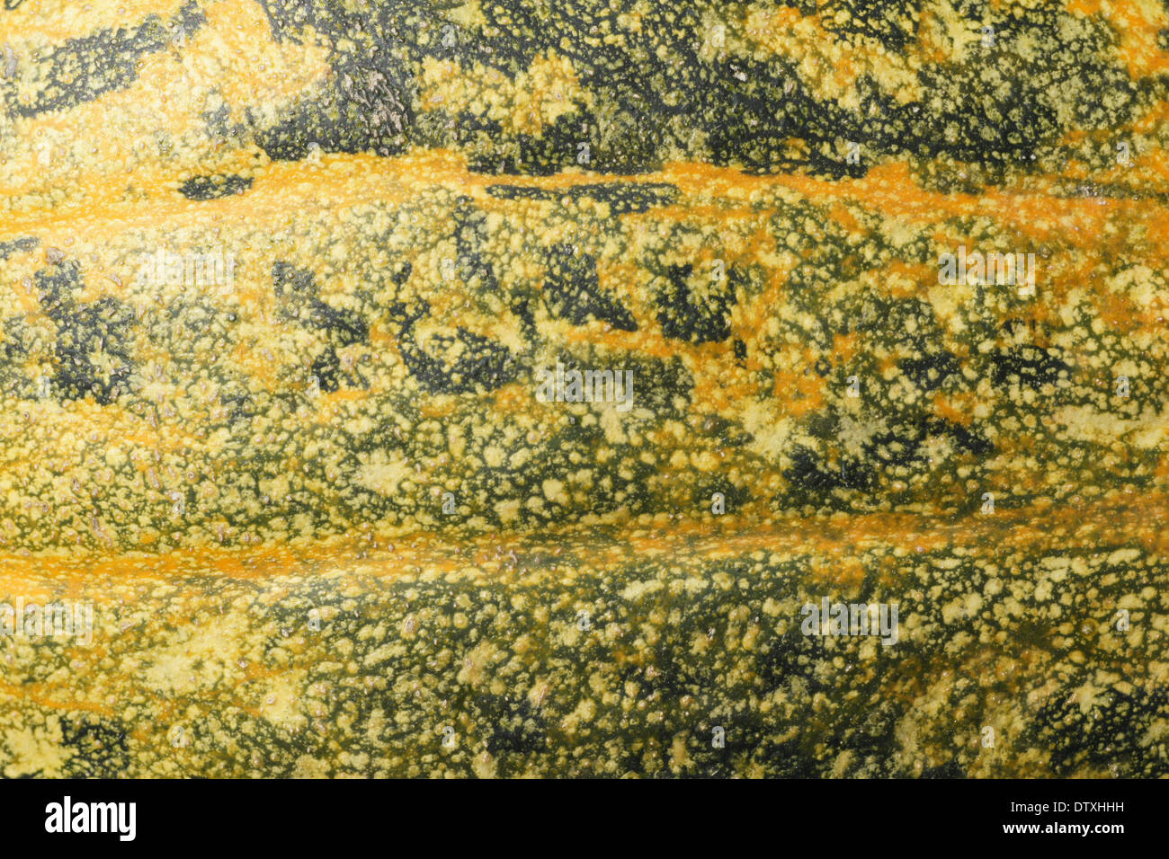 Skin colours hi-res stock photography and images - Alamy