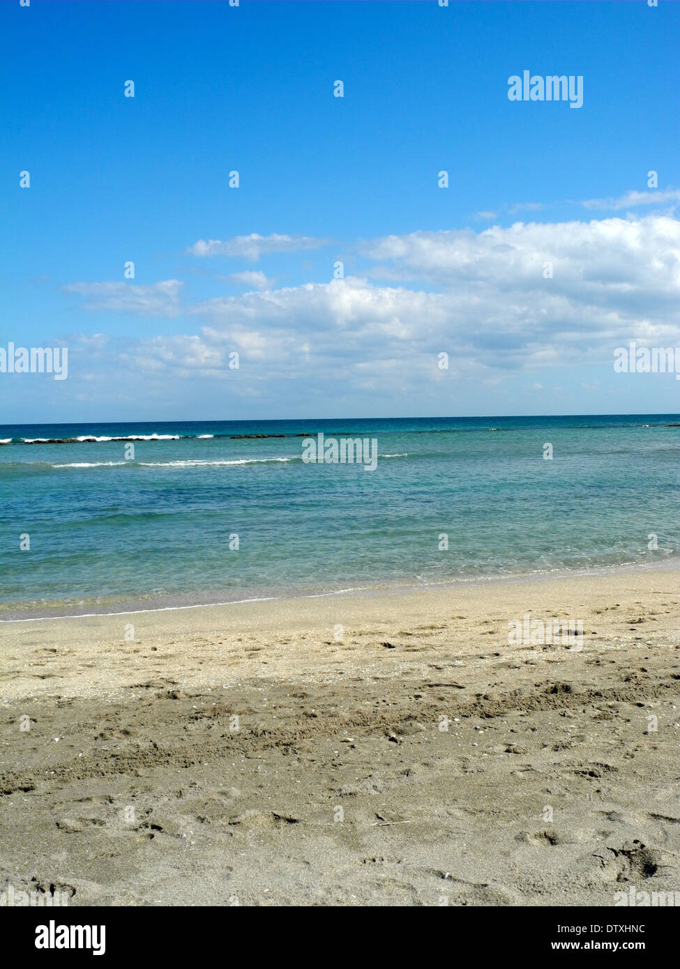 Reef worm hi-res stock photography and images - Alamy