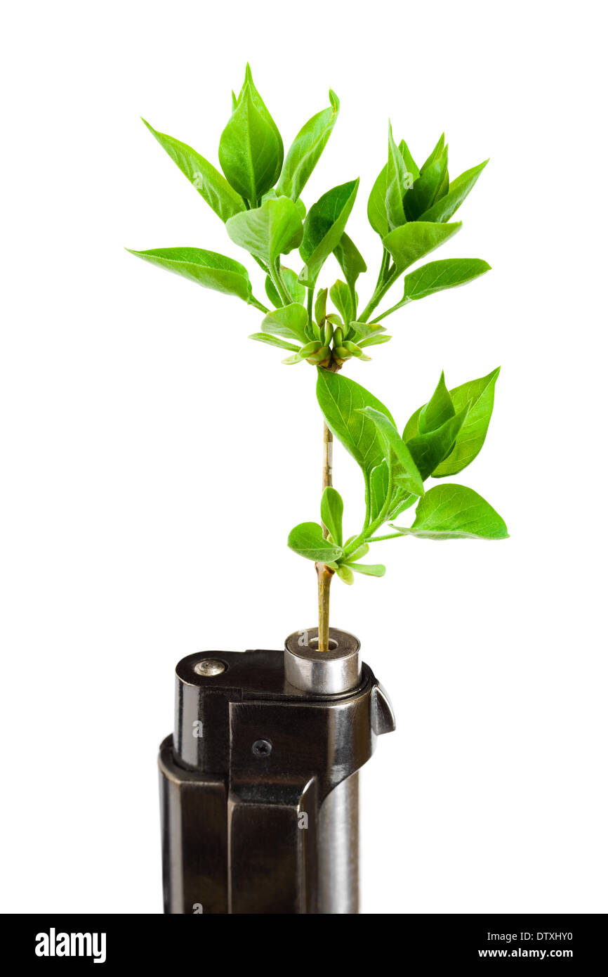Plant pistol hi-res stock photography and images - Alamy