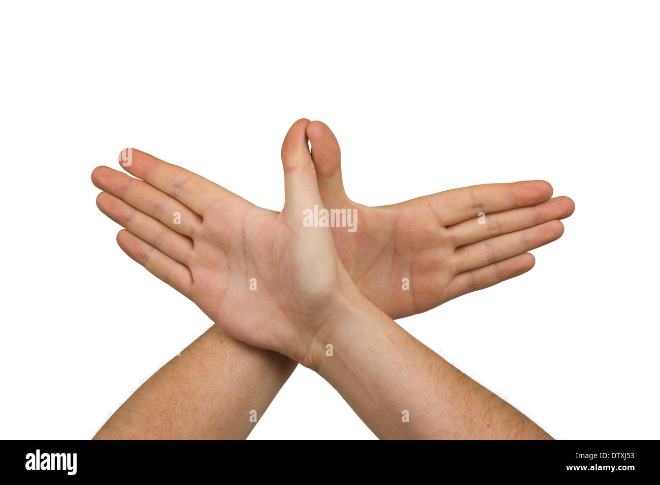 Bird made of hands Stock Photo - Alamy
