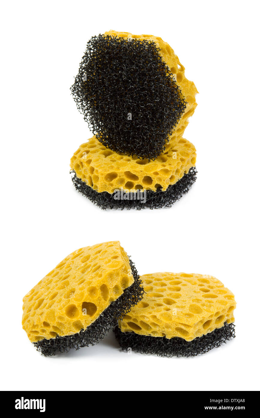 Group sponge gourd Cut Out Stock Images & Pictures - Alamy
