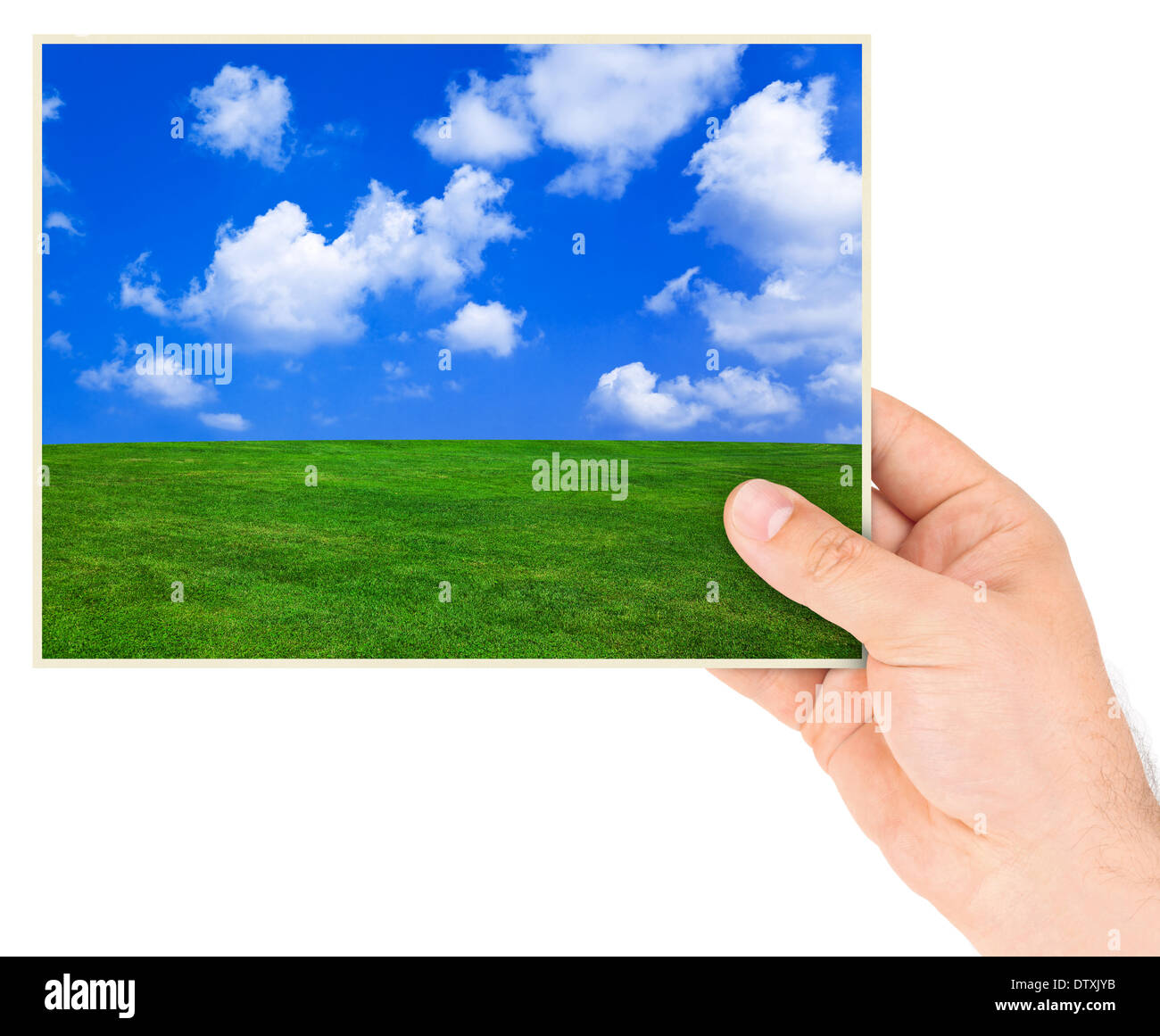 Nature photo in hand Stock Photo - Alamy