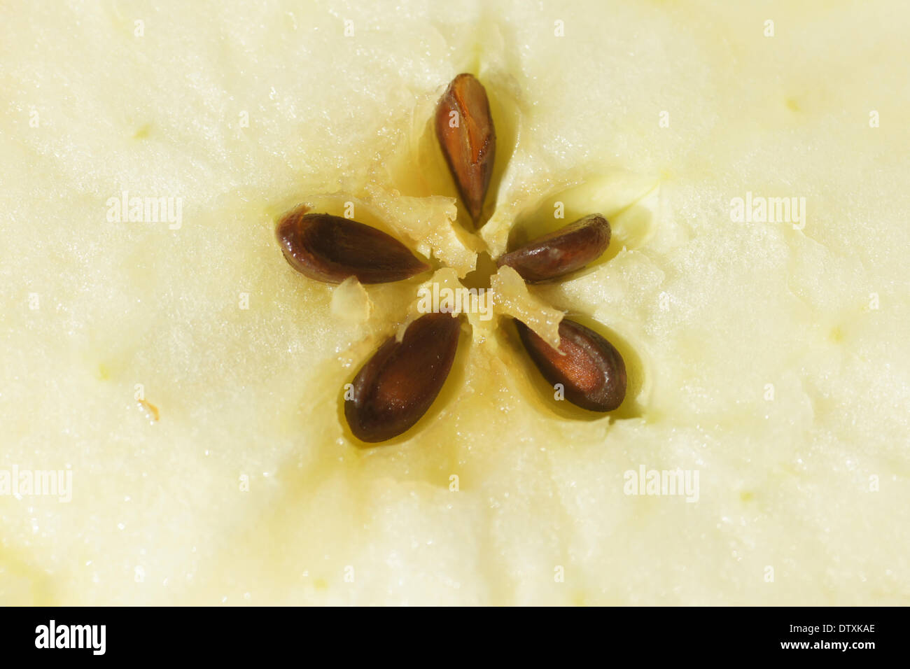 Apple seeds hi-res stock photography and images - Alamy