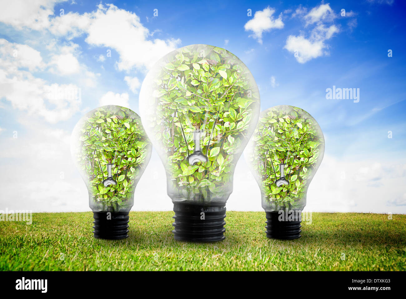 Three big light bulbs on the grass Stock Photo - Alamy