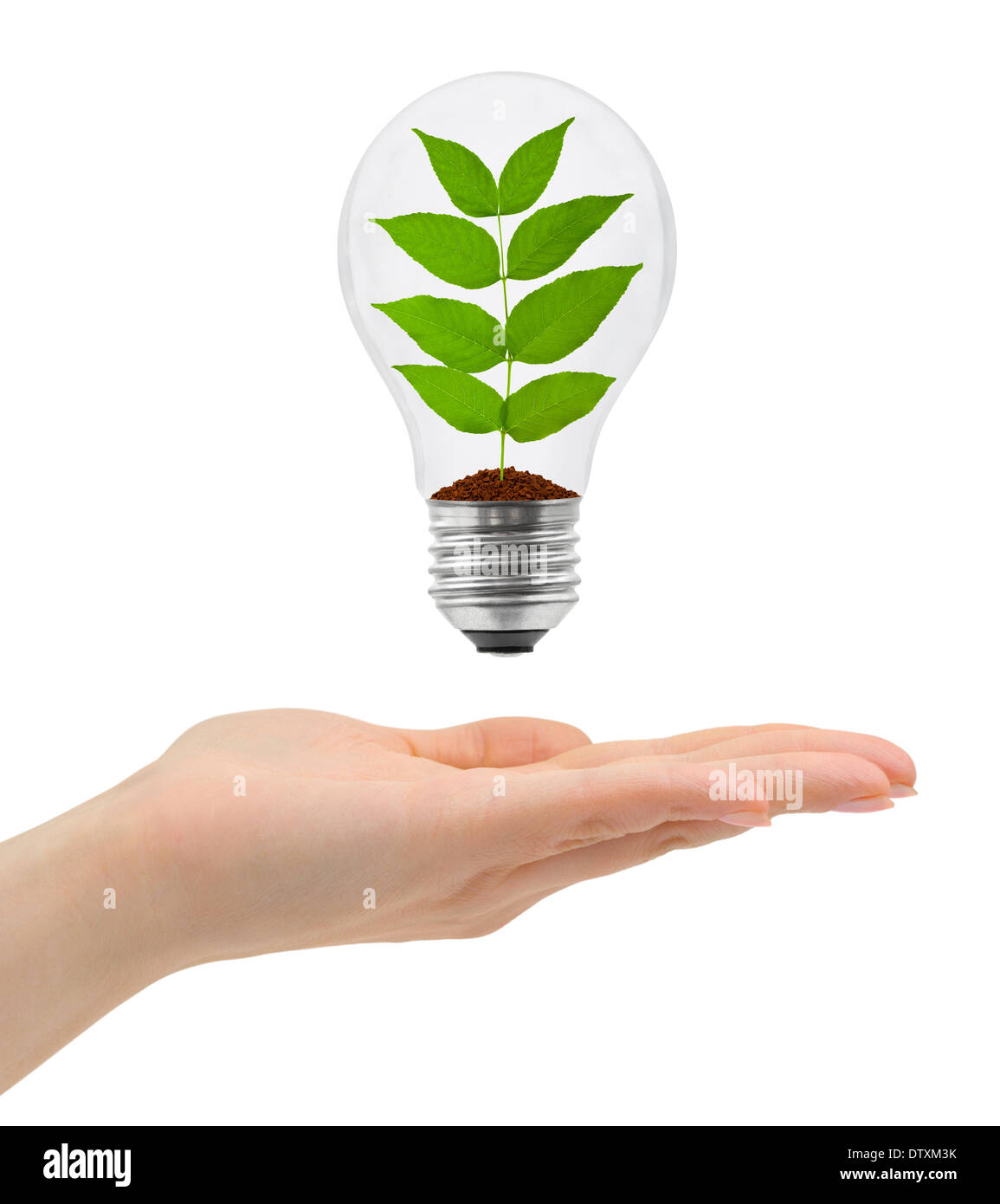 Hand and bulb with plant Stock Photo - Alamy