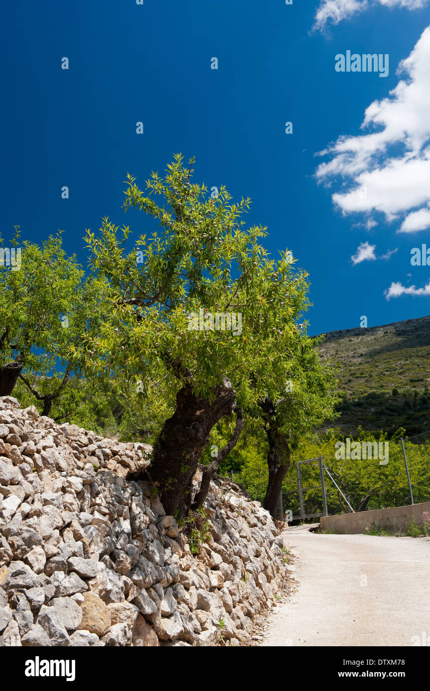 Parcent spain hi-res stock photography and images - Alamy