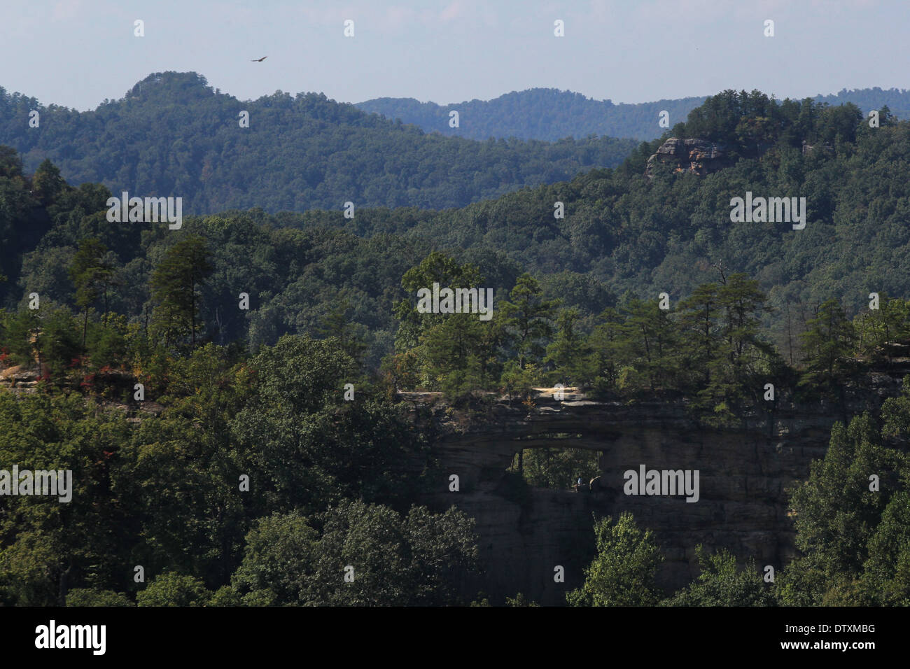 Sandstone karst hi-res stock photography and images - Alamy
