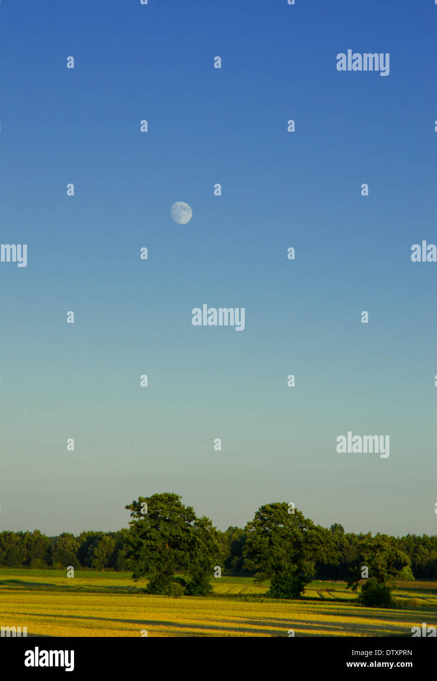 Scenery in the evening Stock Photo - Alamy