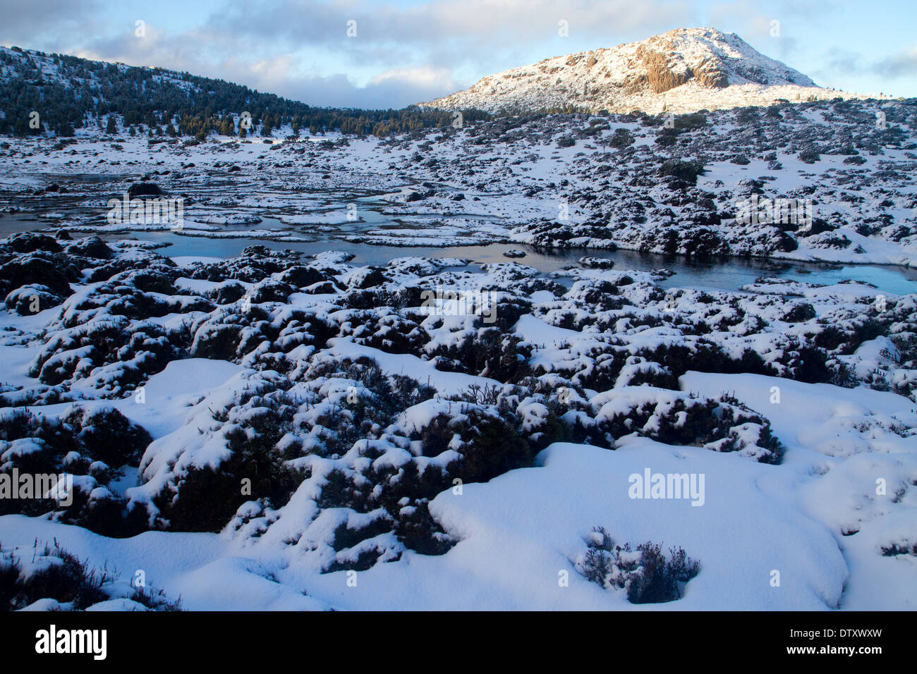 Winter scene in Walls of Jerusalem National Park Stock Photo - Alamy