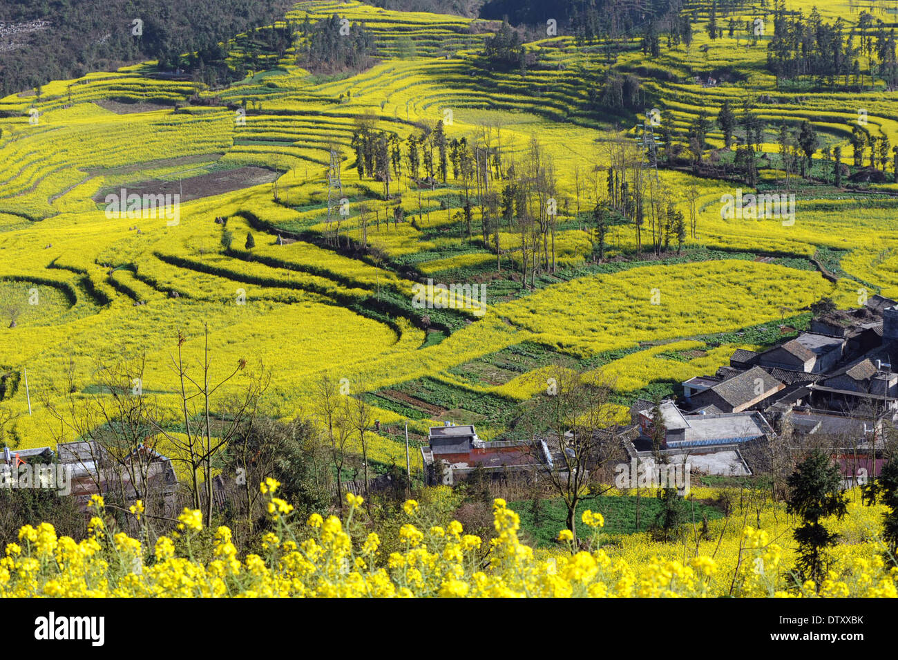 Niujie hi-res stock photography and images - Alamy