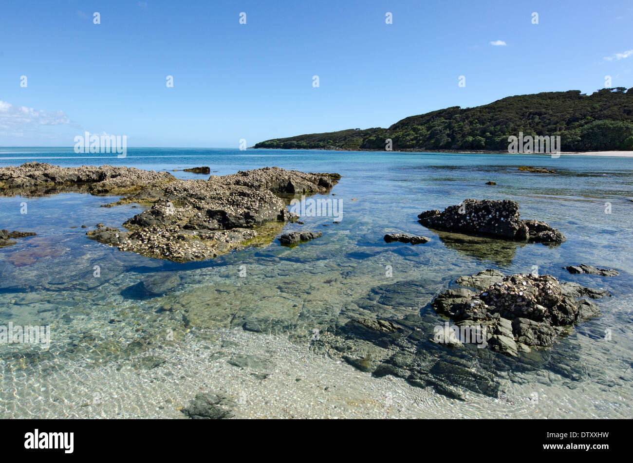Karikari Peninsula High Resolution Stock Photography and Images - Alamy