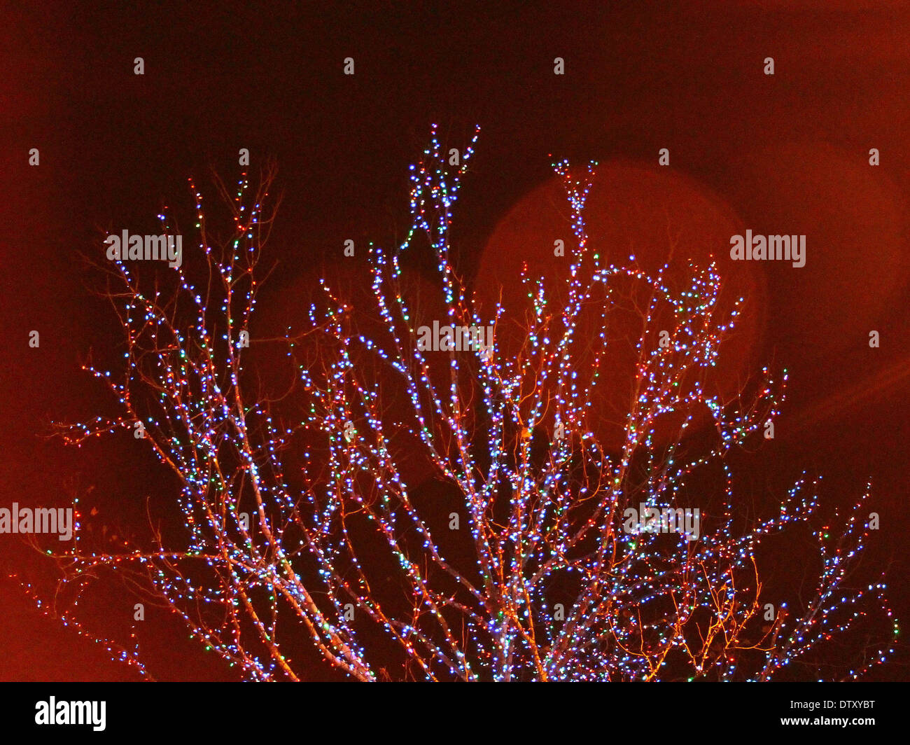 Christmas Tree in Red Stock Photo - Alamy