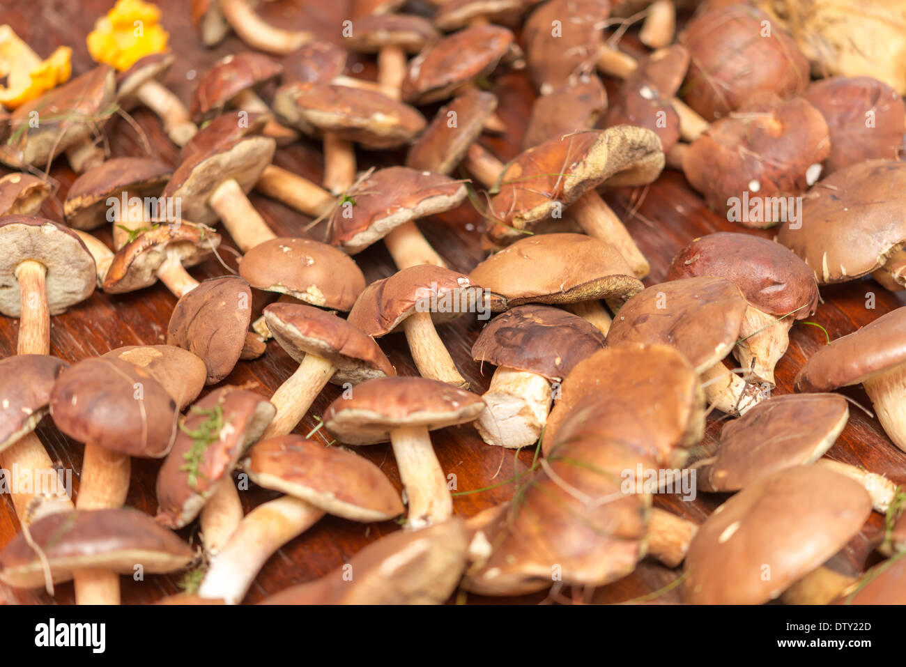 Edible fu hi-res stock photography and images - Alamy