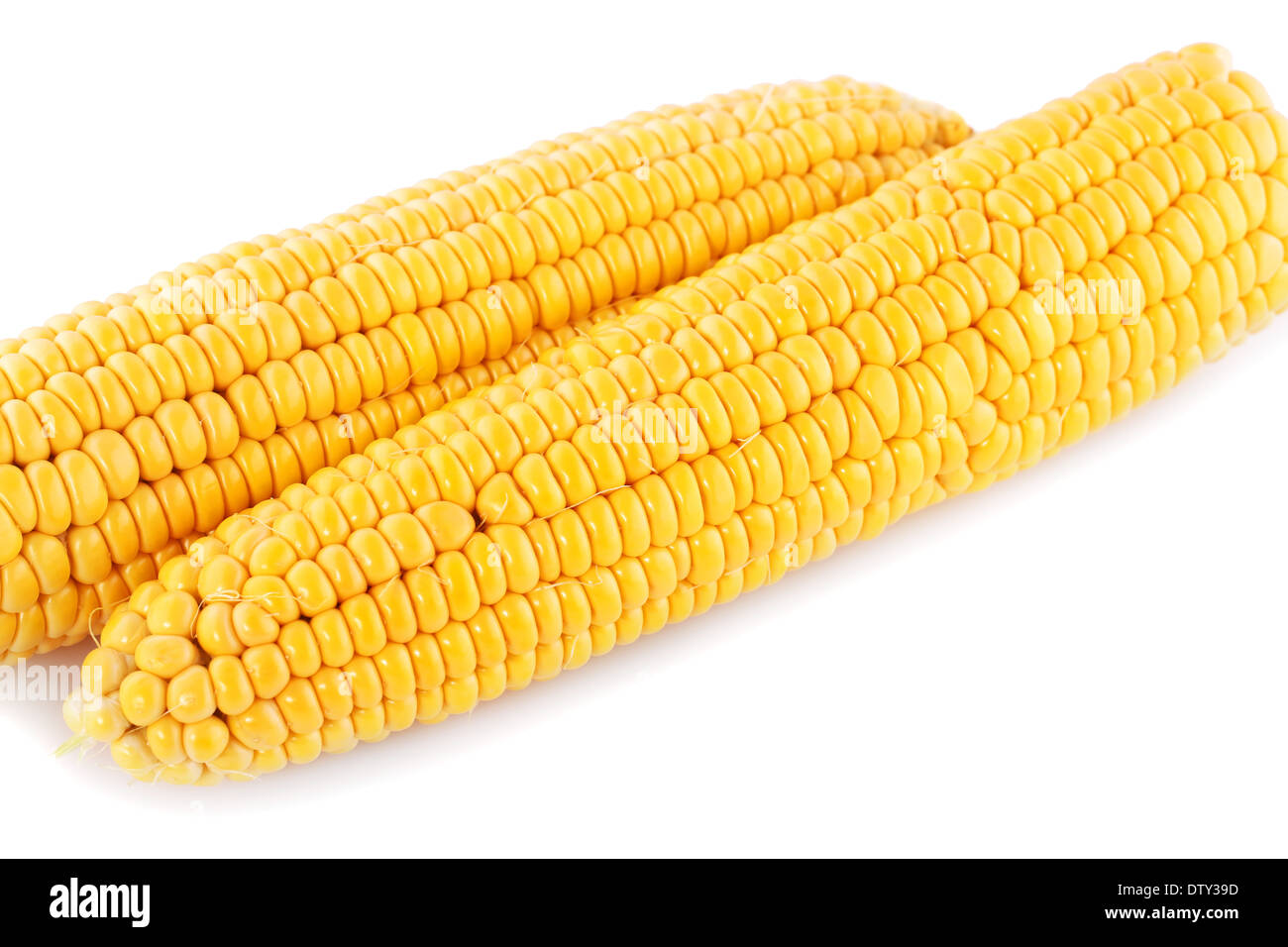 Corn cobs isolated on white background Stock Photo - Alamy
