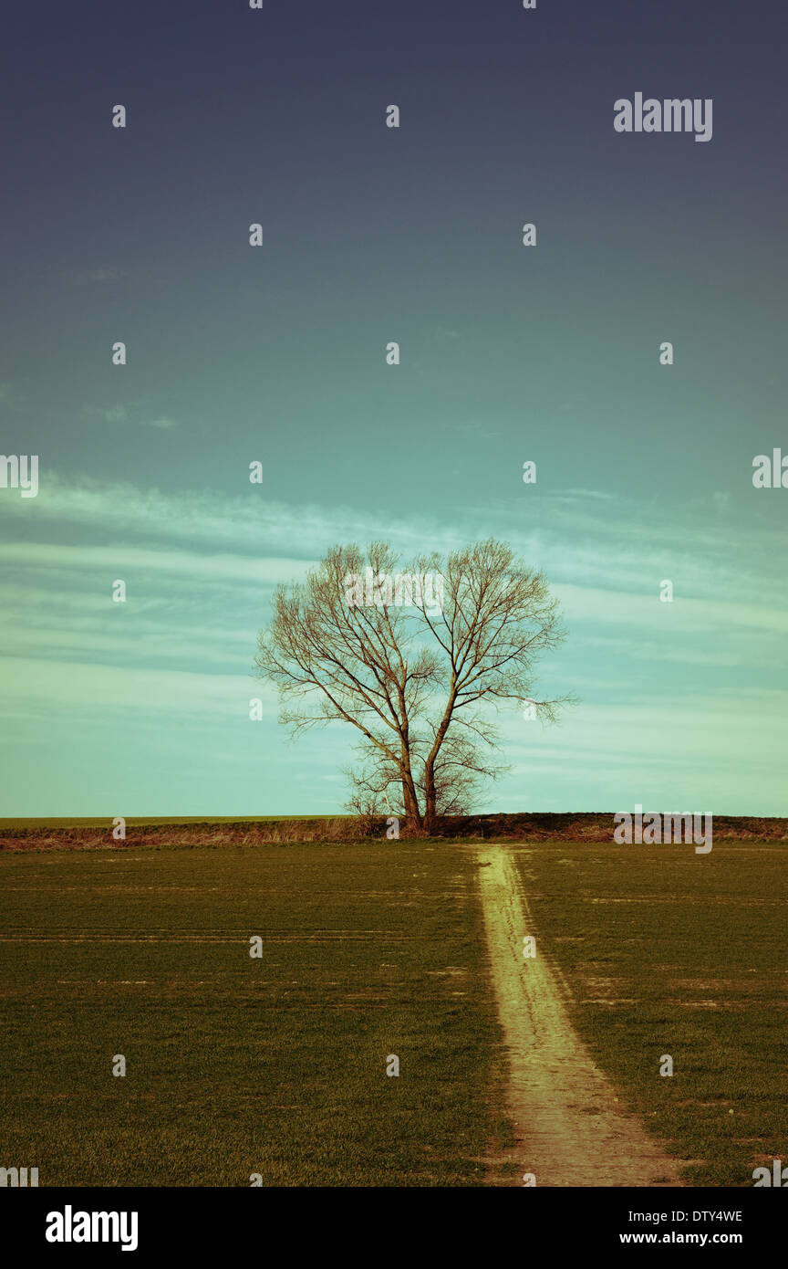 Landscape with a footpath in winter. Lomographic, aged retro faded ...