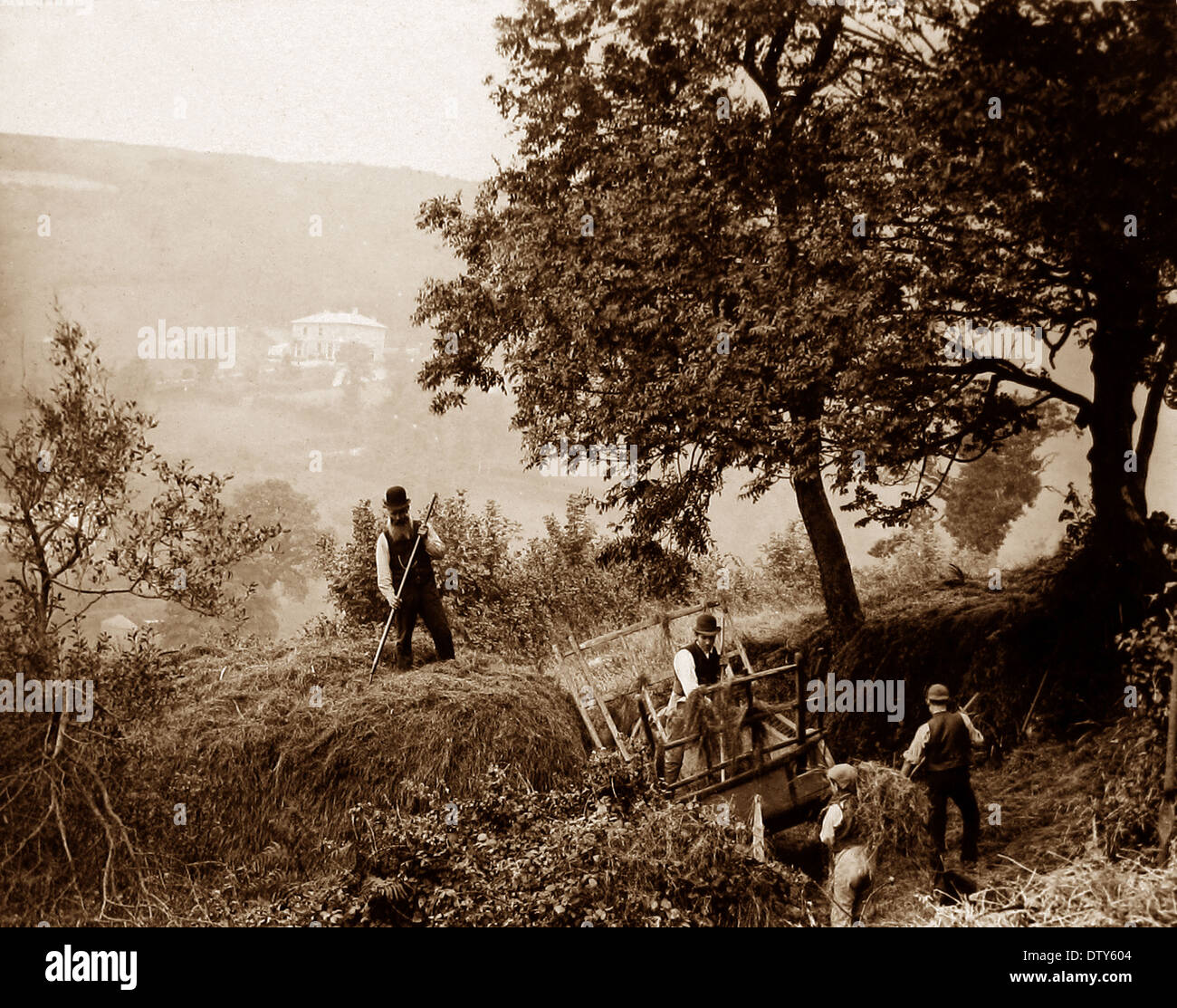 Hay making haymaking hi-res stock photography and images - Alamy