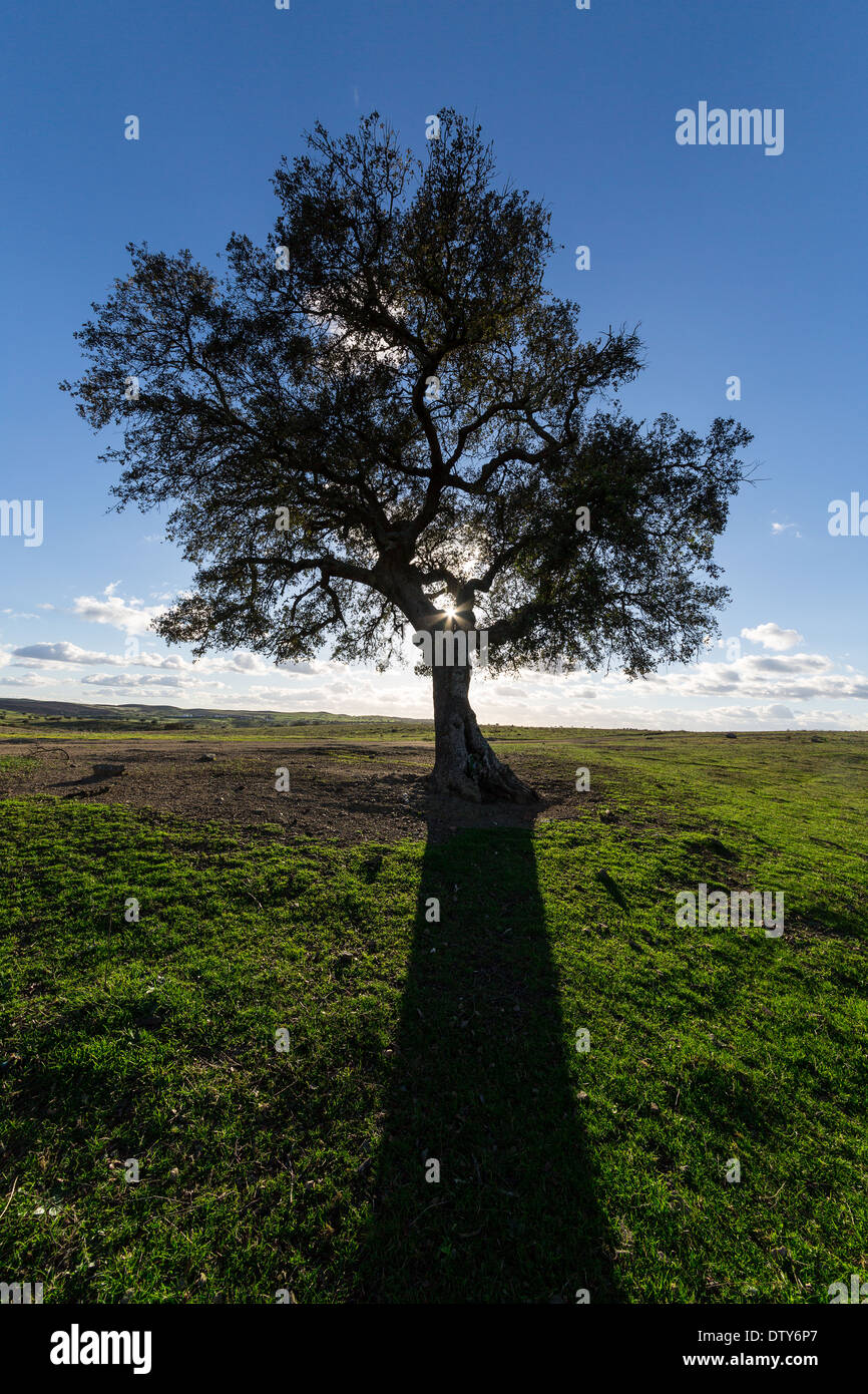Lonely sun hi-res stock photography and images - Alamy