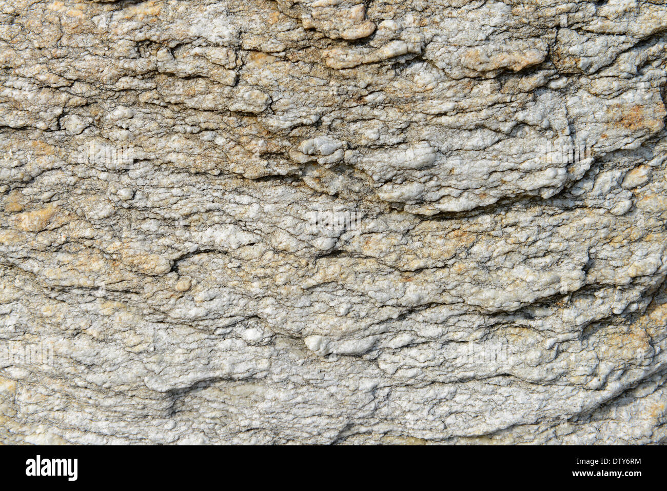 beautiful pattern and texture in Stone at the coast Stock Photo - Alamy