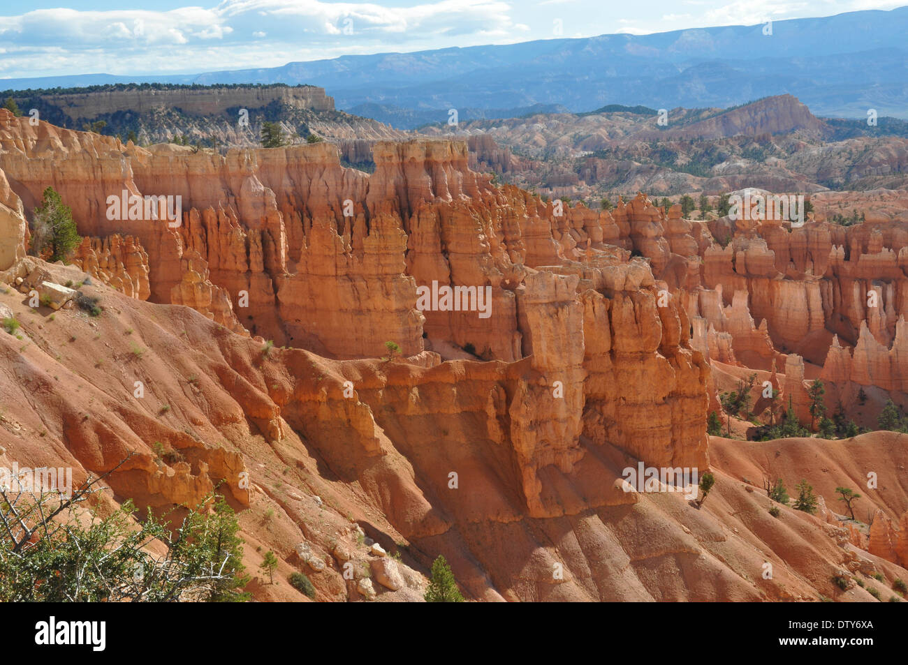 An amphitheater in Bryce Canyon; National Park; Utah USA Stock Photo ...