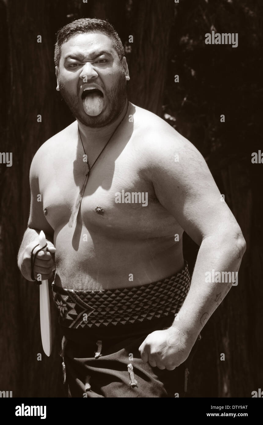 Traditional Maori Tourist Entertainment High Resolution Stock ...