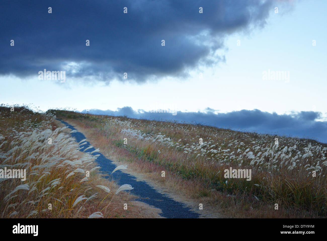 Japan silver mine hi-res stock photography and images - Alamy