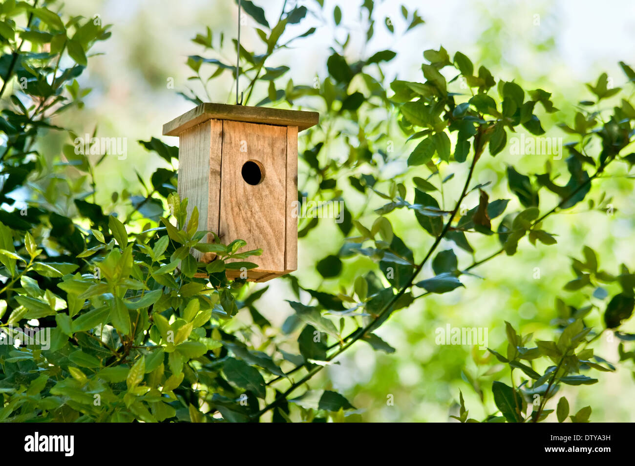 Wooden Birdhouse Hanging In The Tree Handmade wooden birdhouse hanging ...