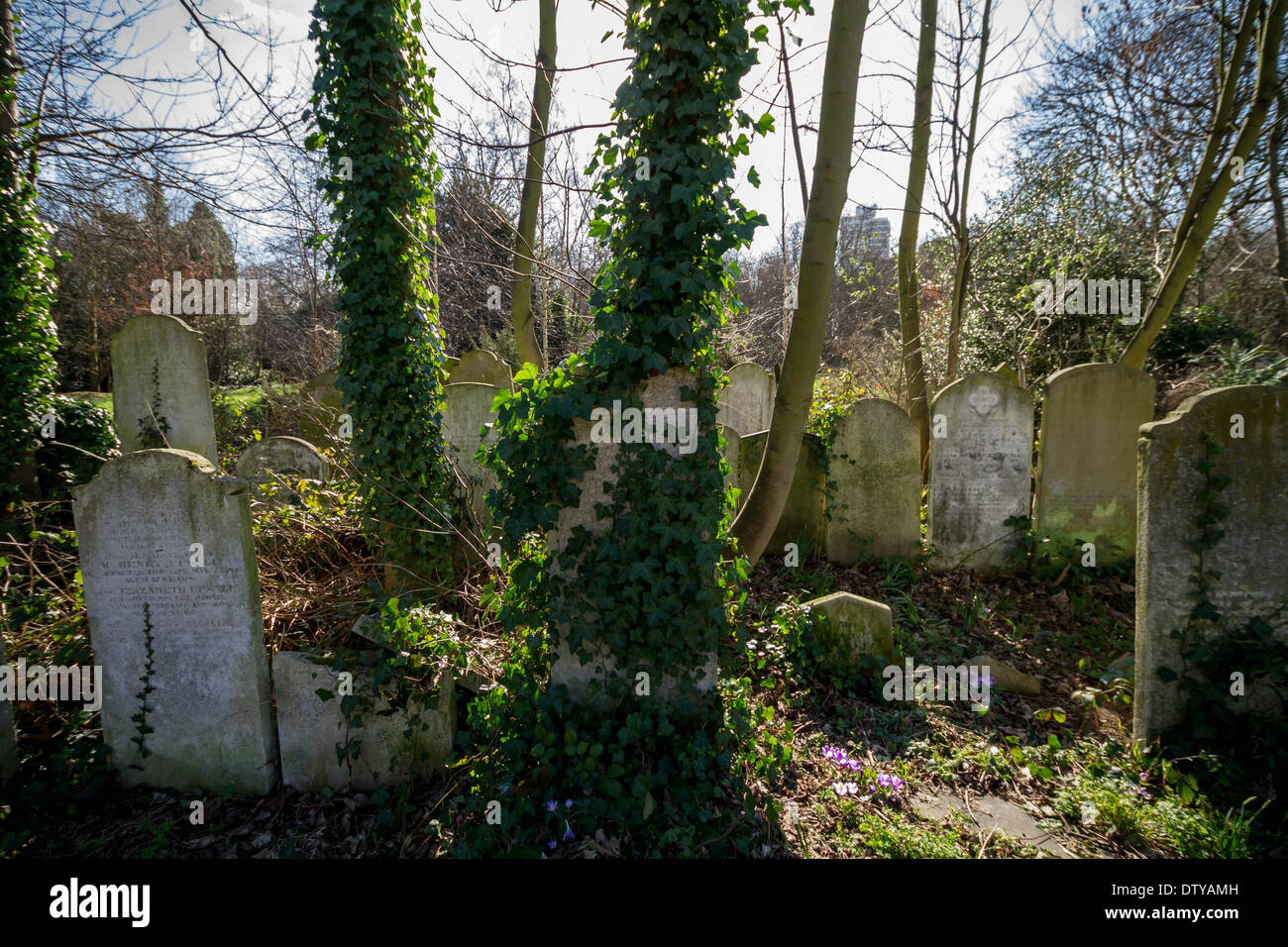 Tower Hamlets Cemetery in the East End of London, UK Stock Photo - Alamy