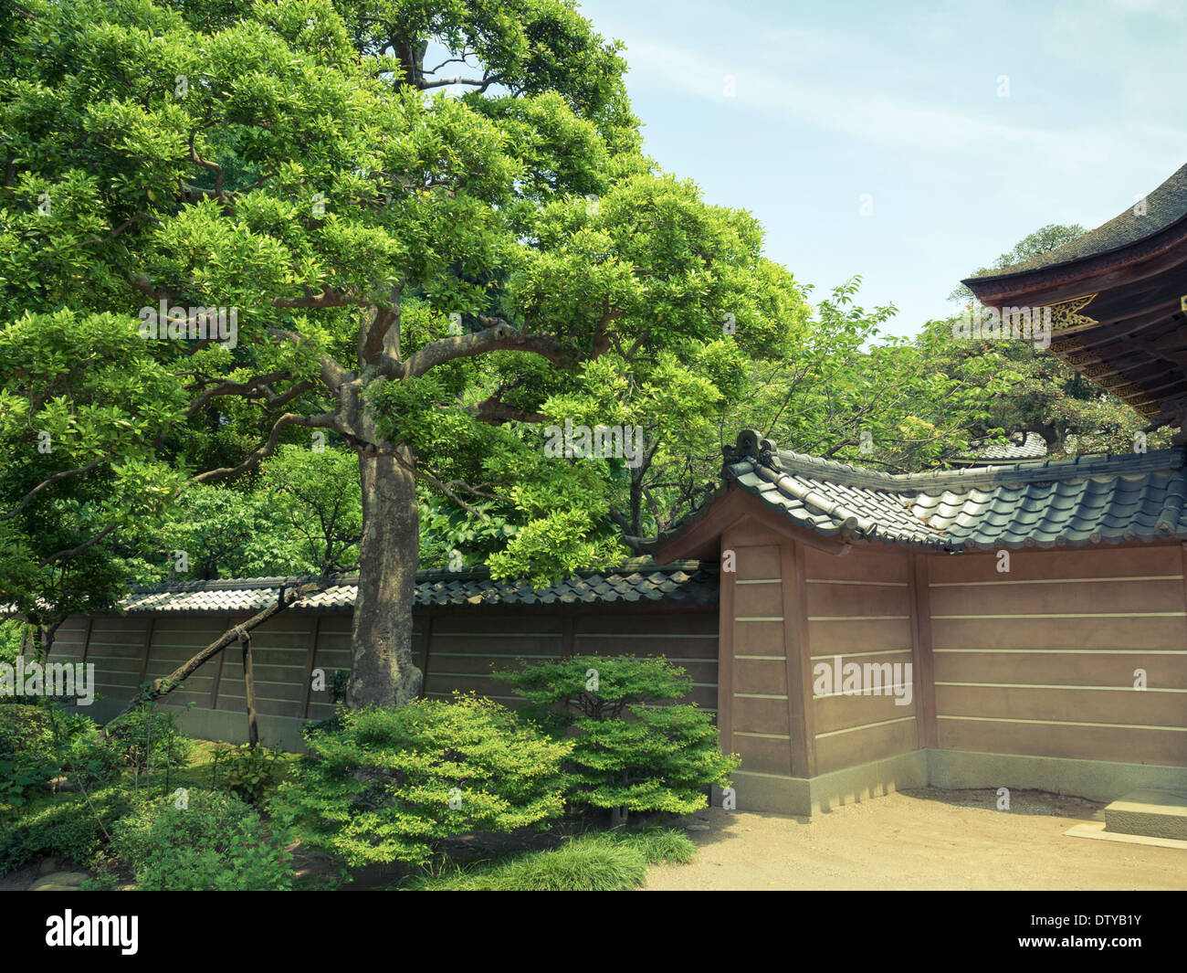 Japan temple tree hi-res stock photography and images - Alamy