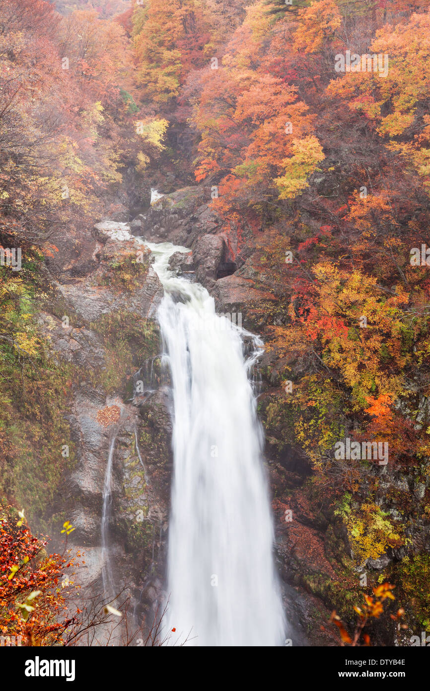 Miyagi hi-res stock photography and images - Alamy