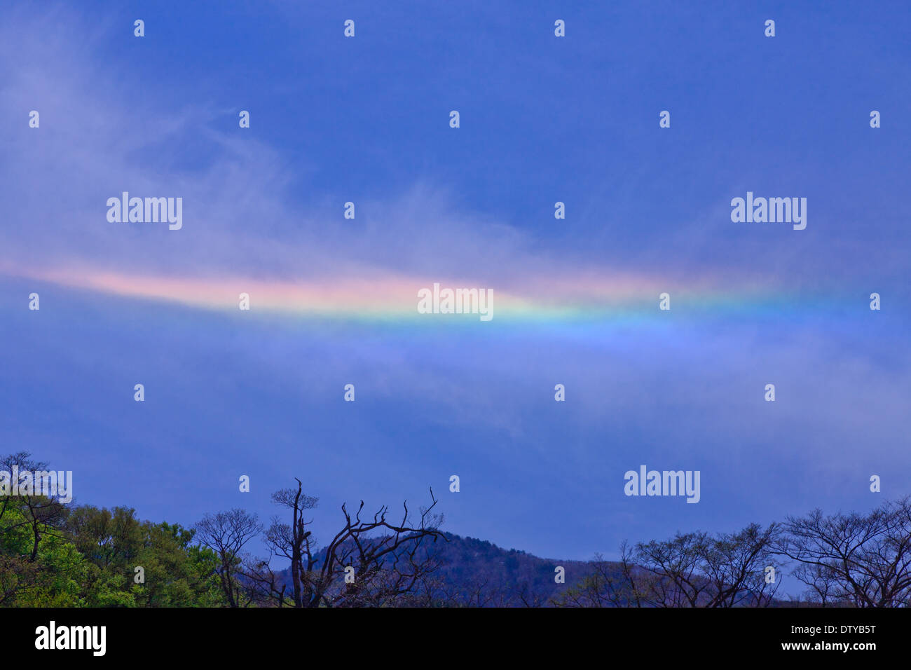 Circumhorizontal arc rainbow hi-res stock photography and images - Alamy