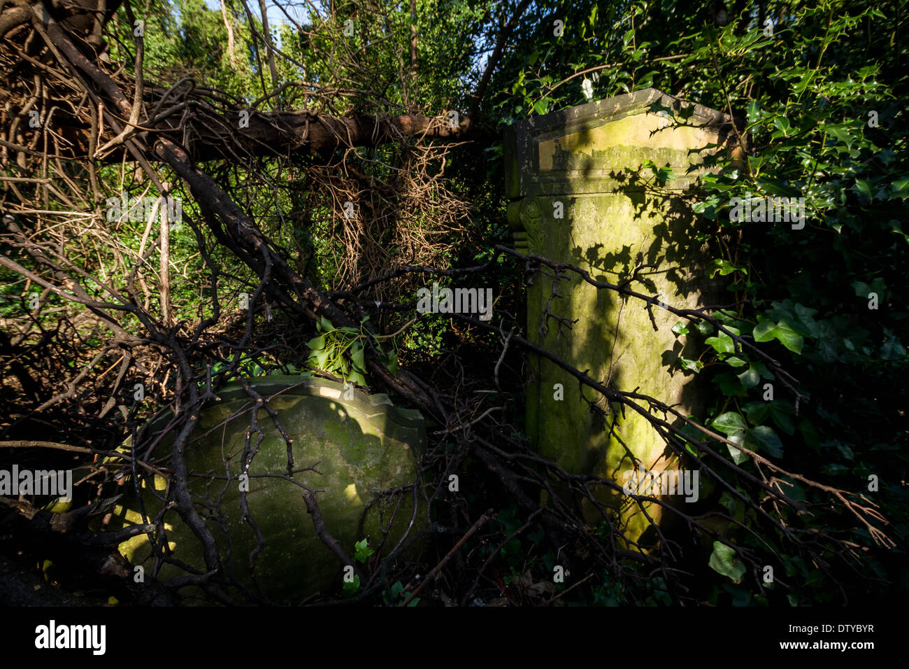 Tower Hamlets Cemetery in the East End of London, UK Stock Photo - Alamy