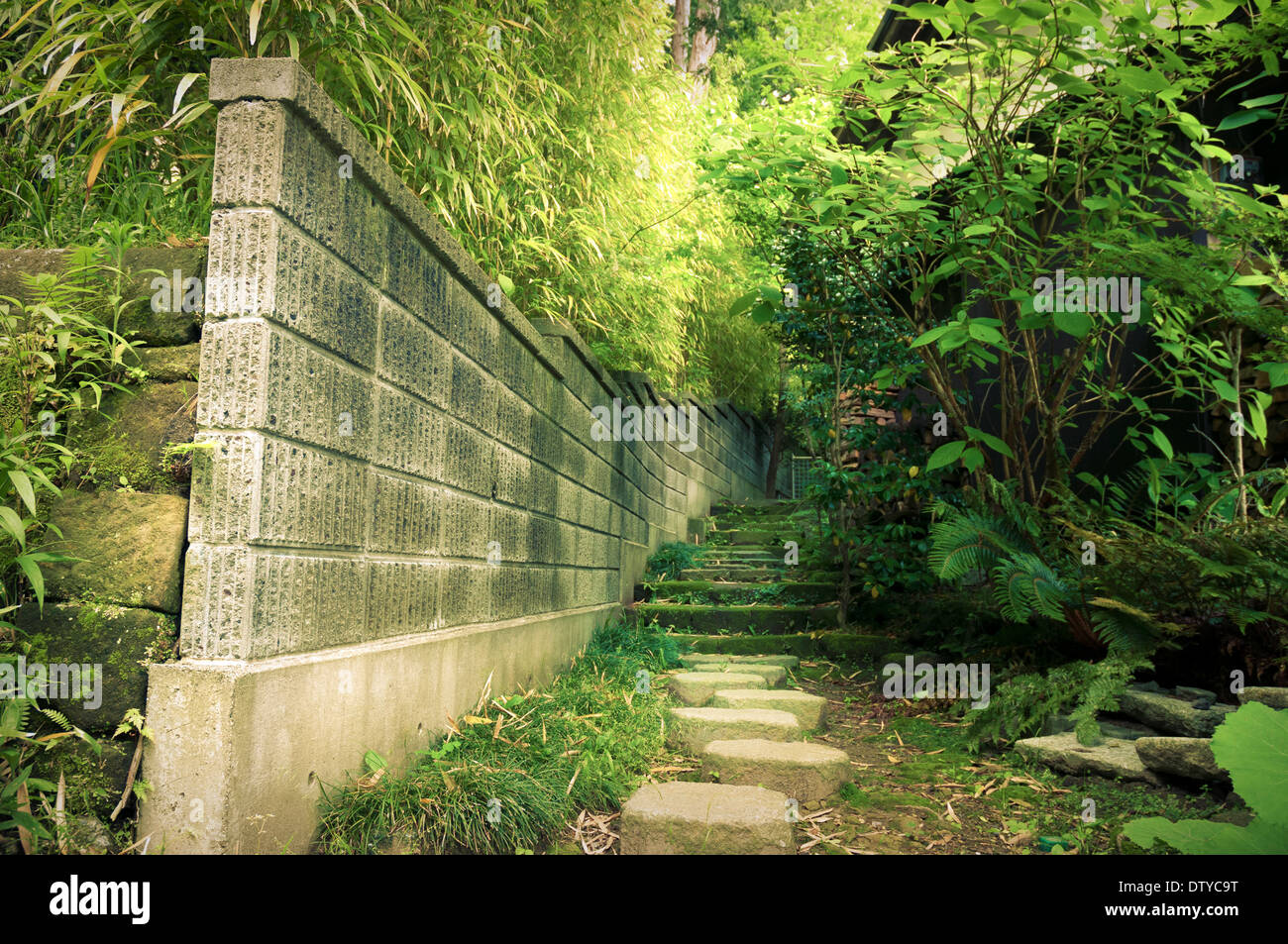 stone steps in Japanese garden leading to mountains Stock Photo - Alamy