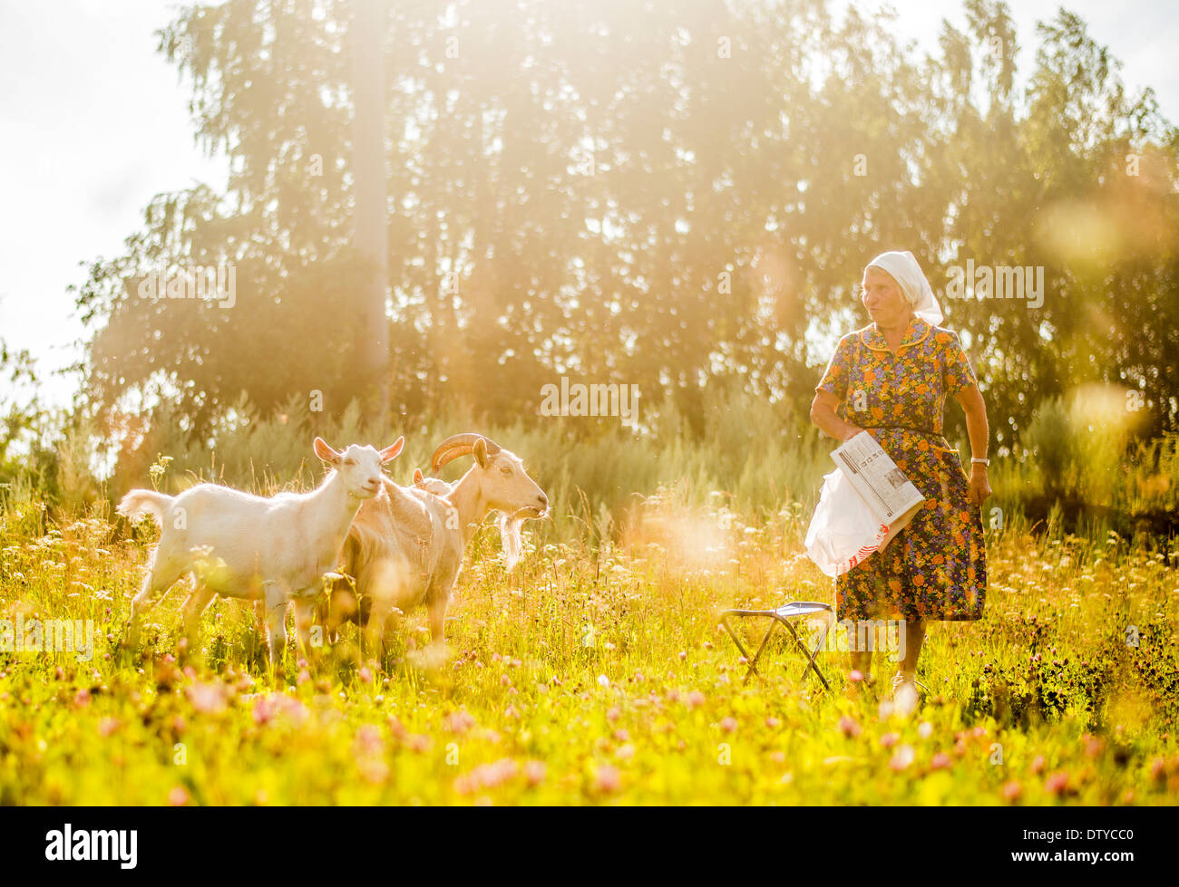 Two women with goat hi-res stock photography and images - Alamy