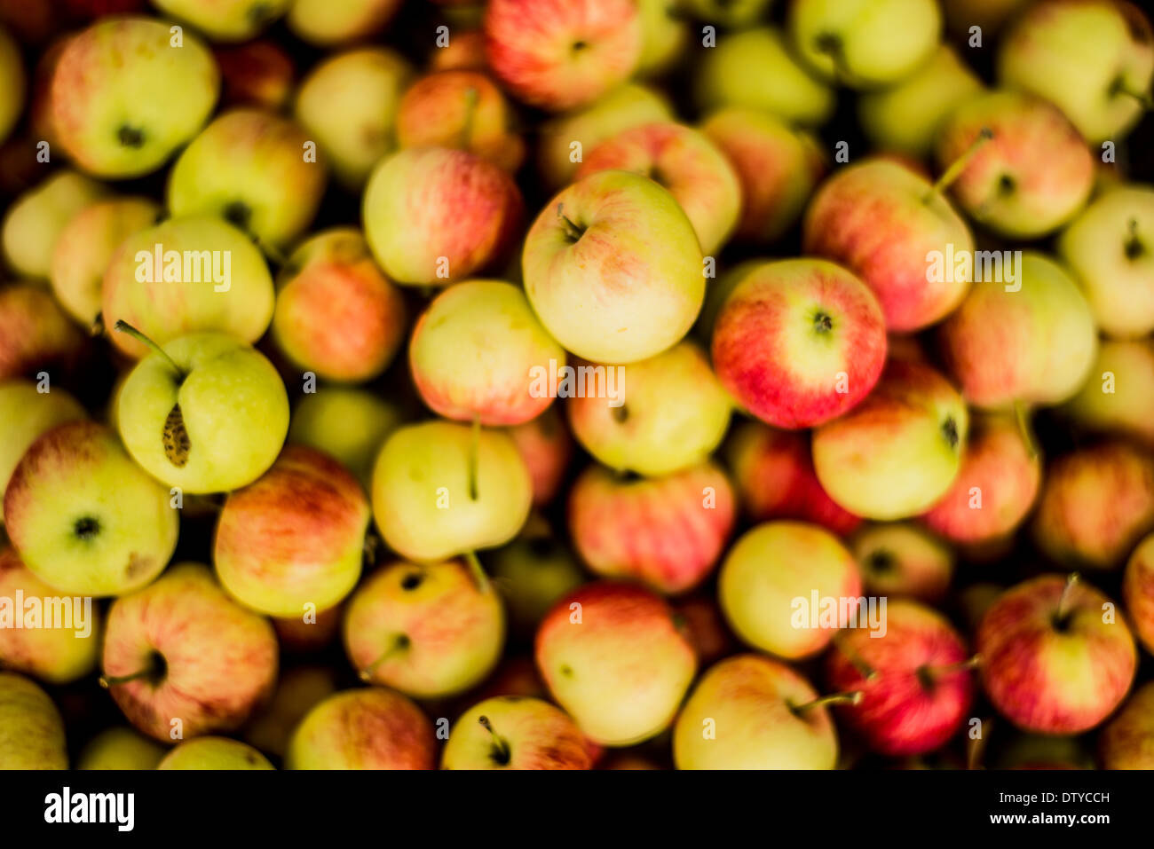 Full frame apple pile hi-res stock photography and images - Alamy