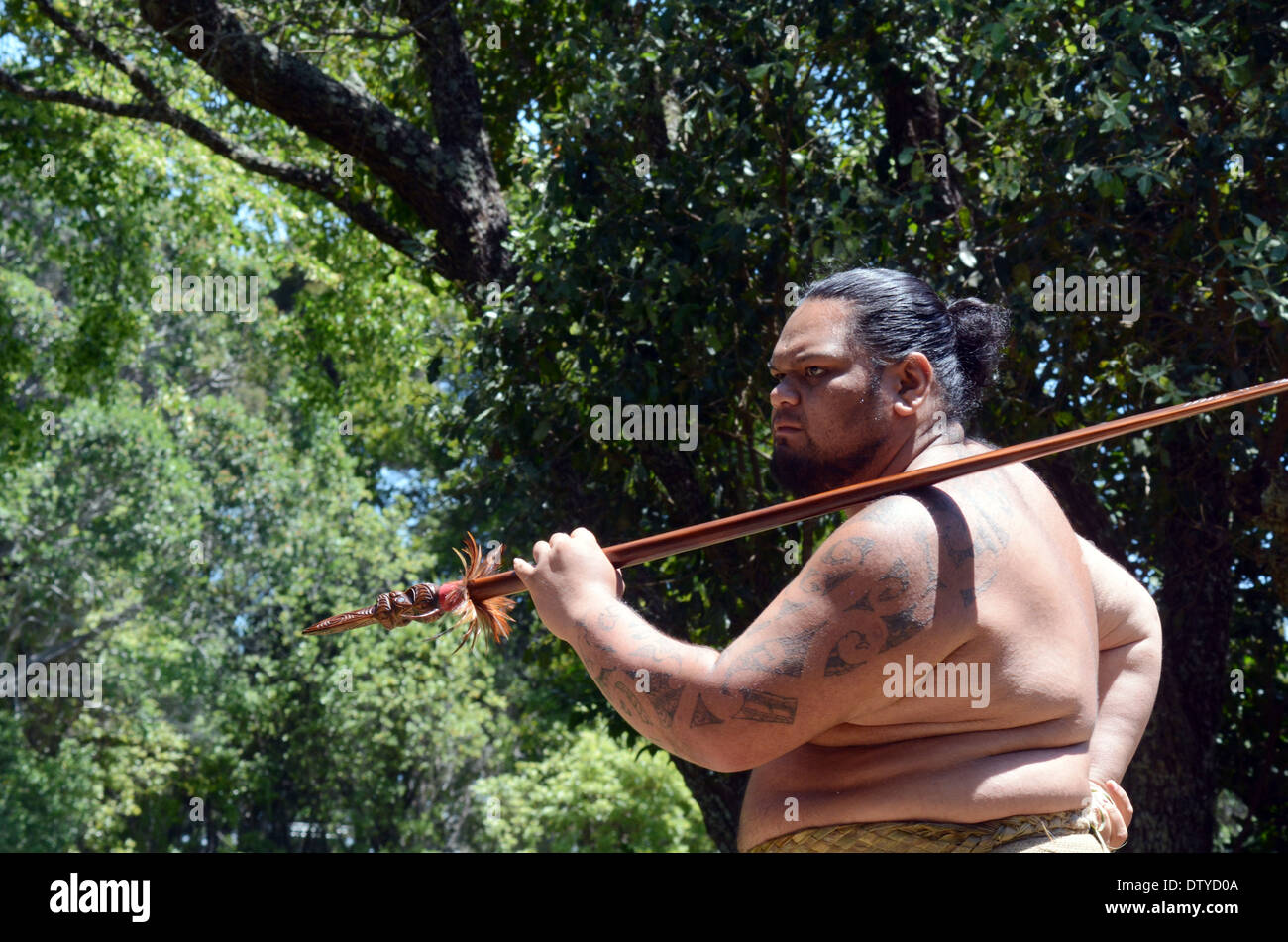 Maori Man Traditional Dance High Resolution Stock Photography and ...