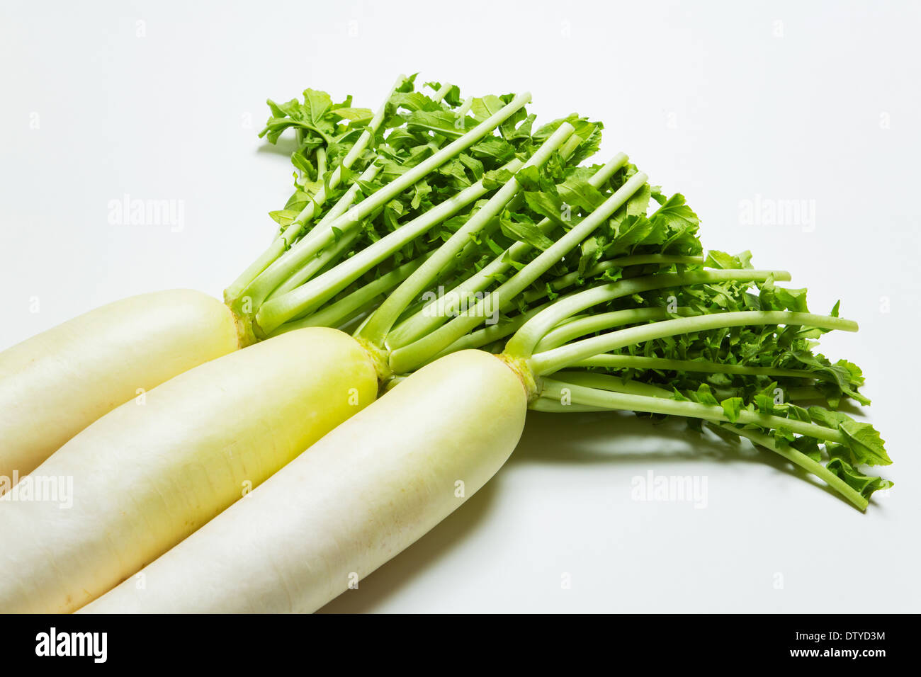 Radish genus hi-res stock photography and images - Alamy