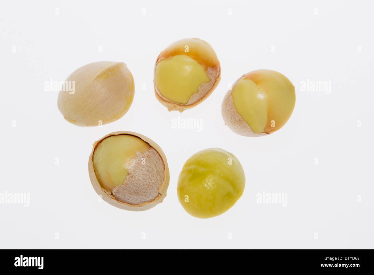 Ginkgo fruits hi-res stock photography and images - Alamy