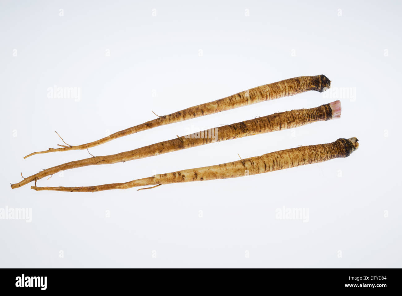 Burdock root and plant hi-res stock photography and images - Alamy