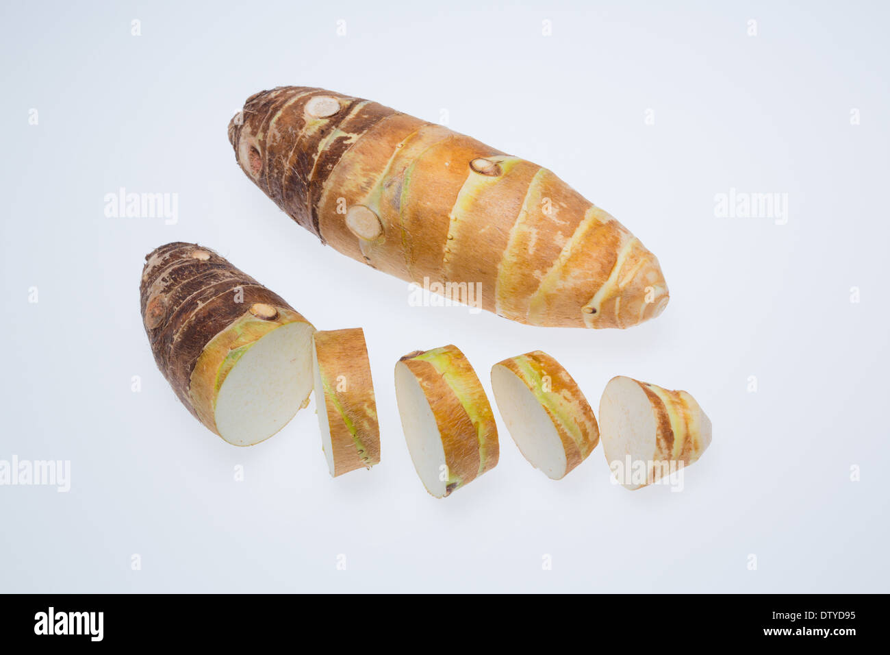 Potato plant cross section hi-res stock photography and images - Alamy