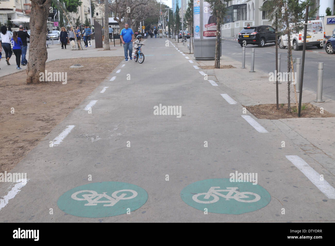 Bicycle lane Israel, Tel Aviv, Rothschild Boulevard Stock Photo - Alamy