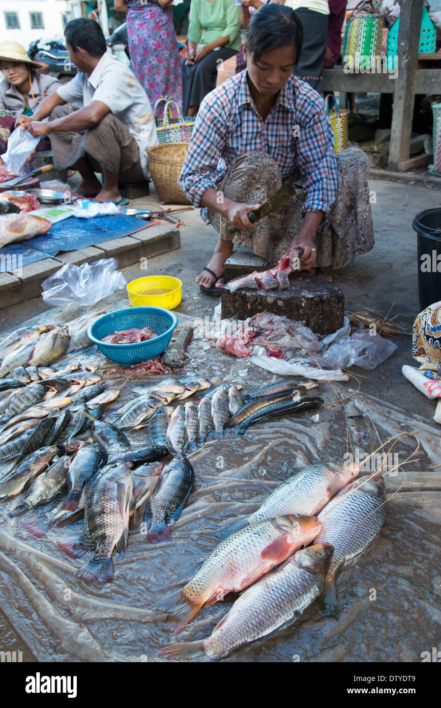 Fish market. Nyaungshwe. Inle Lake. Myanmar (Burma Stock Photo - Alamy