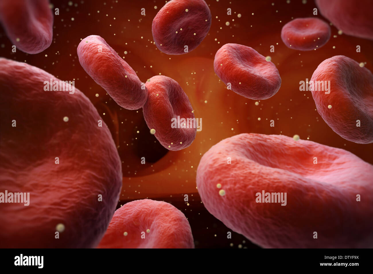 Glucose cells hi-res stock photography and images - Alamy