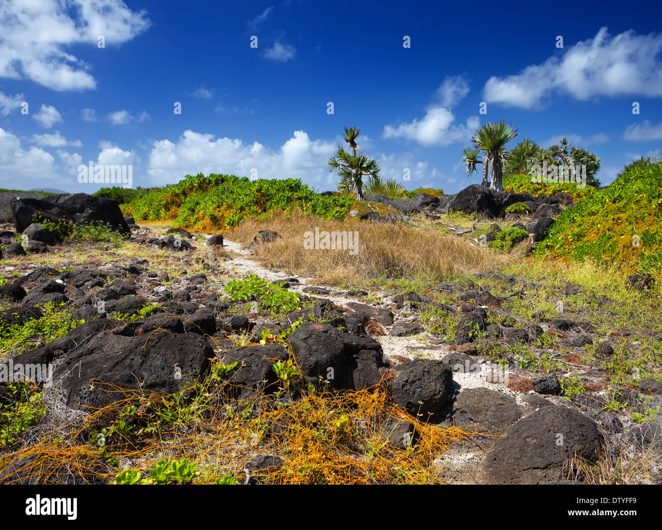 Mauritius, landscape of the island Stock Photo - Alamy