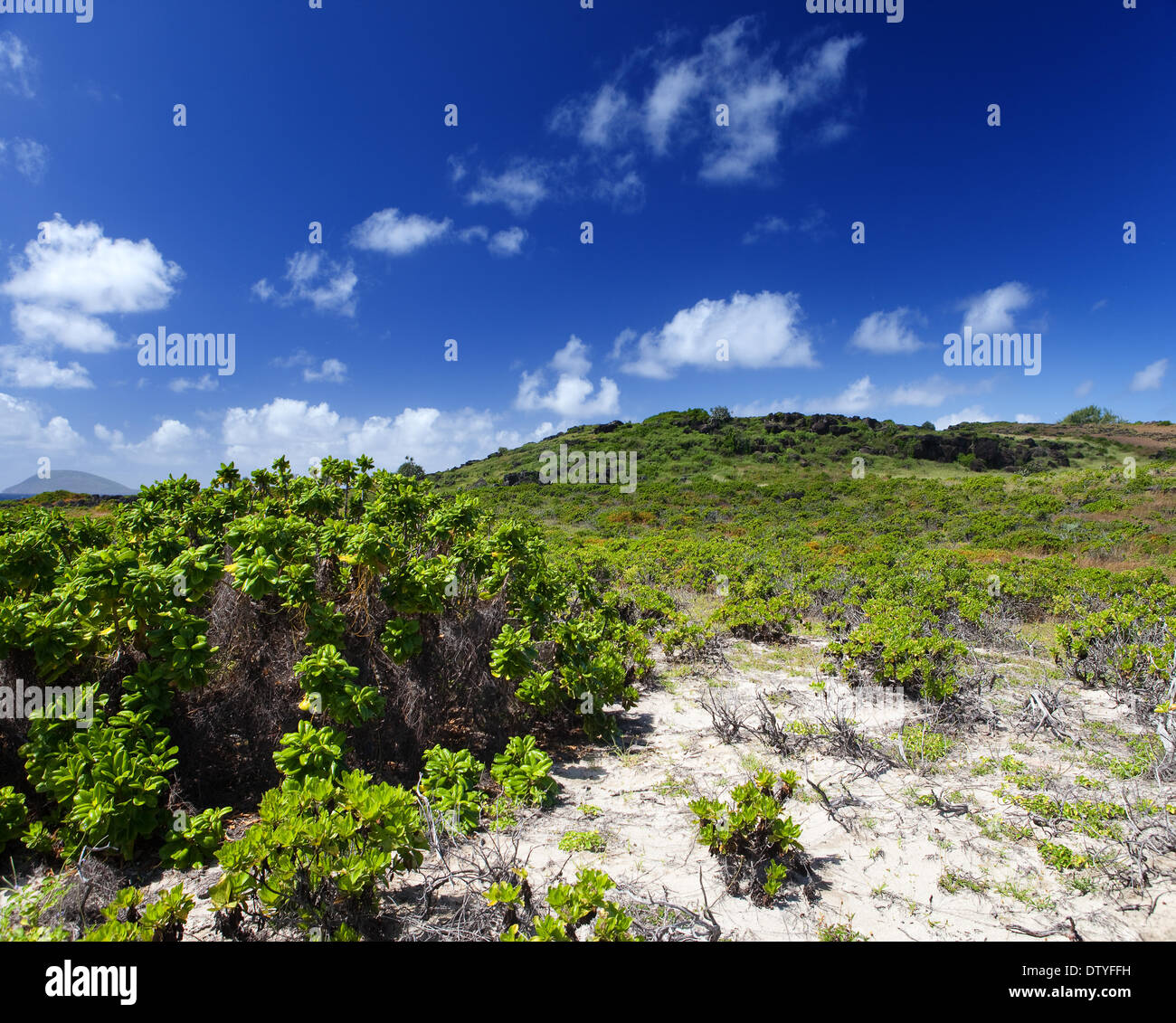 Mauritius island beach tourist hi-res stock photography and images - Alamy