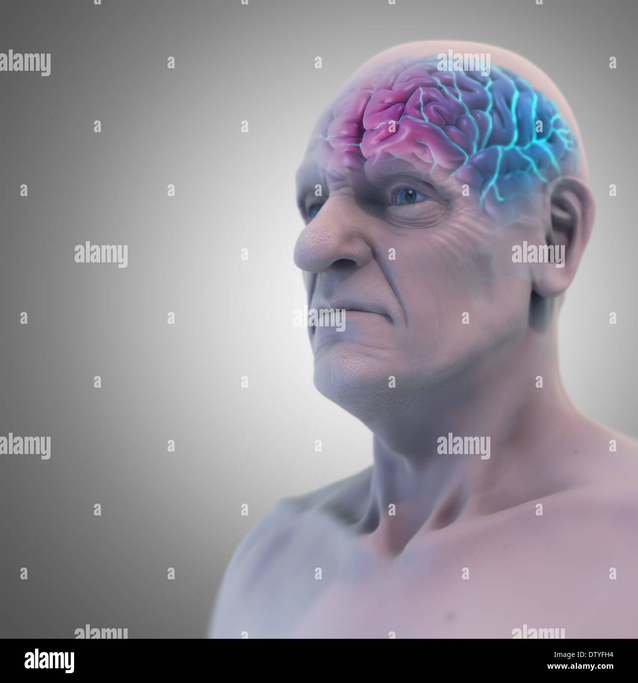 Visible ageing hi-res stock photography and images - Alamy